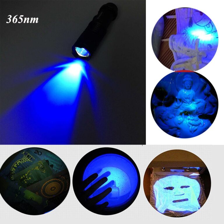Mini Rechargeable UV Flashlight 5W Detect Scorpion Insect Tracking ...